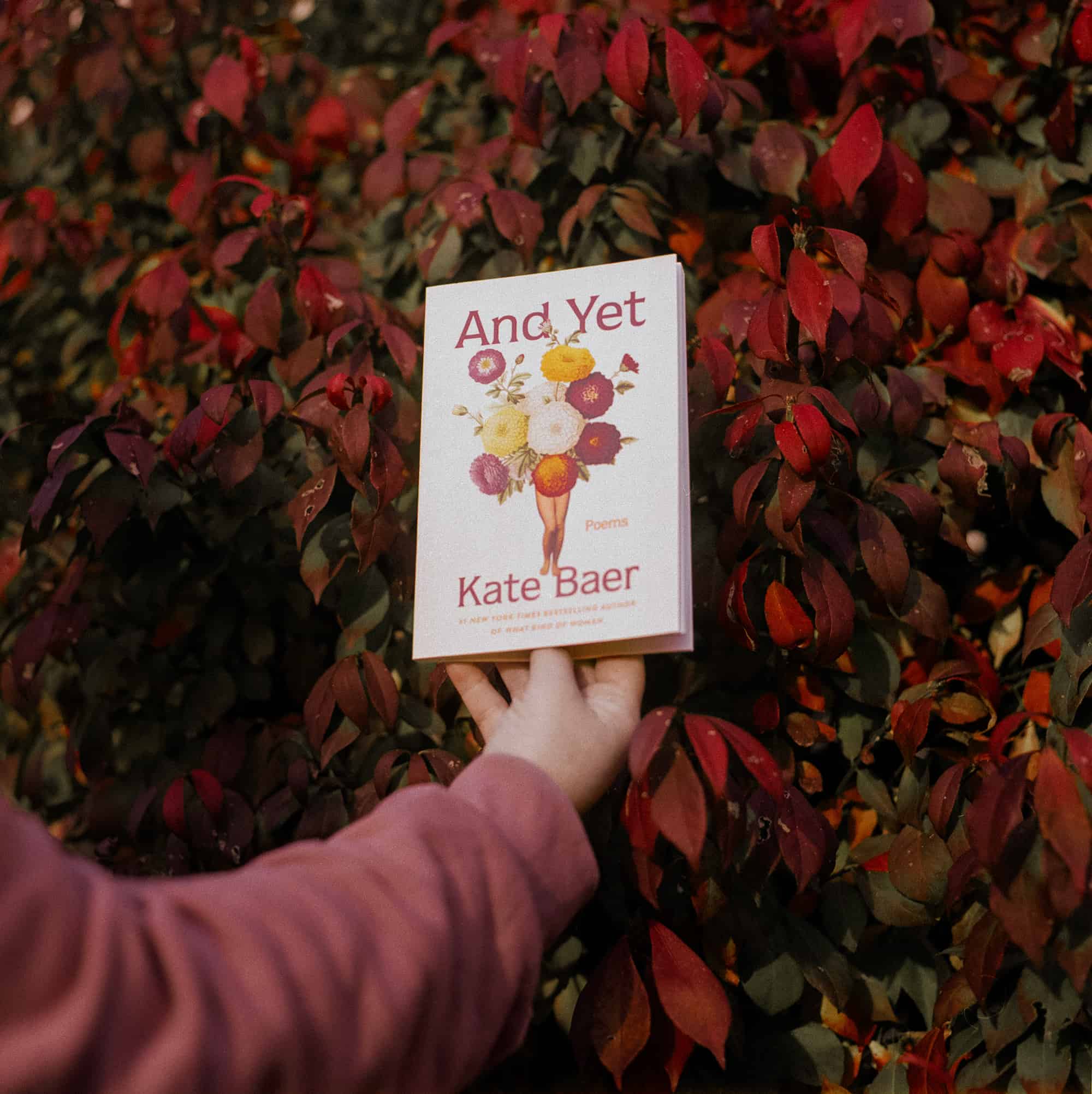 《与诗人凯特·贝尔在家